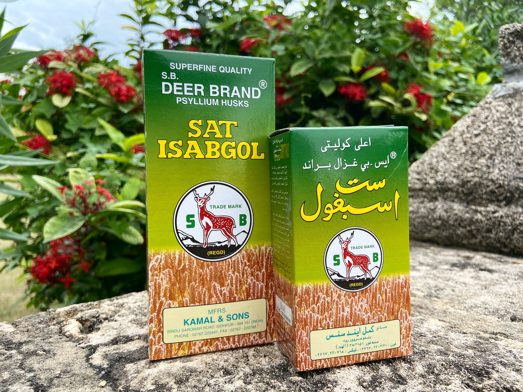 Deer Brand Sat Isabgol - Psyllium Husks