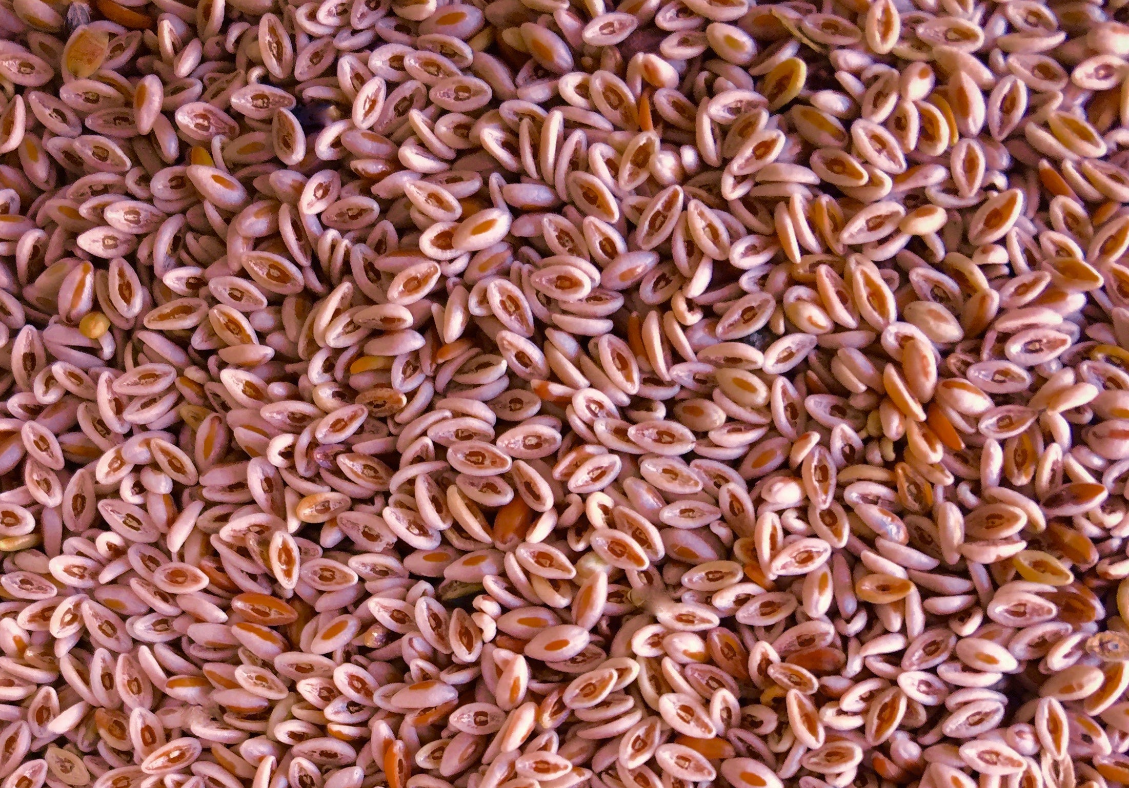 Deer Brand Sat Isabgol - Psyllium Husks